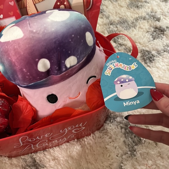 Squishmallows | Party Supplies | Squishmallow Minya Nwt Valentines Day ...